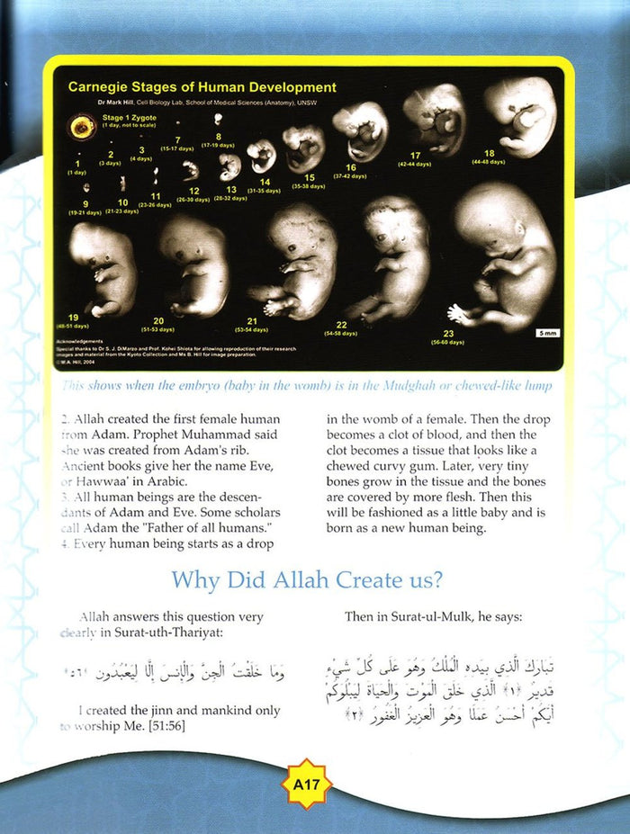 Learning Islam Textbook: Level 1 (6th Grade) – Furqaan Bookstore USA